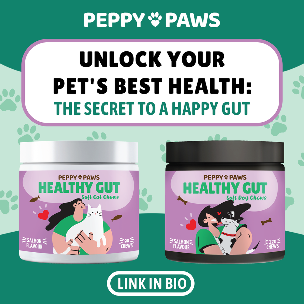 Unlock Your Pet's Best Health: The Secret to a Happy Gut – PeppyPaws