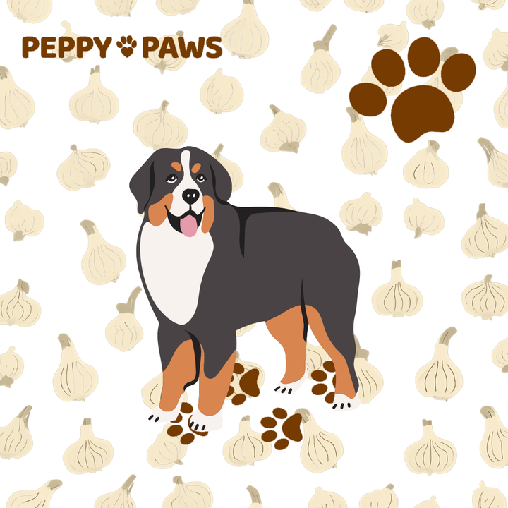 Myth-Busters: Debunking the Myth of Garlic Toxicity to Dogs – PeppyPaws