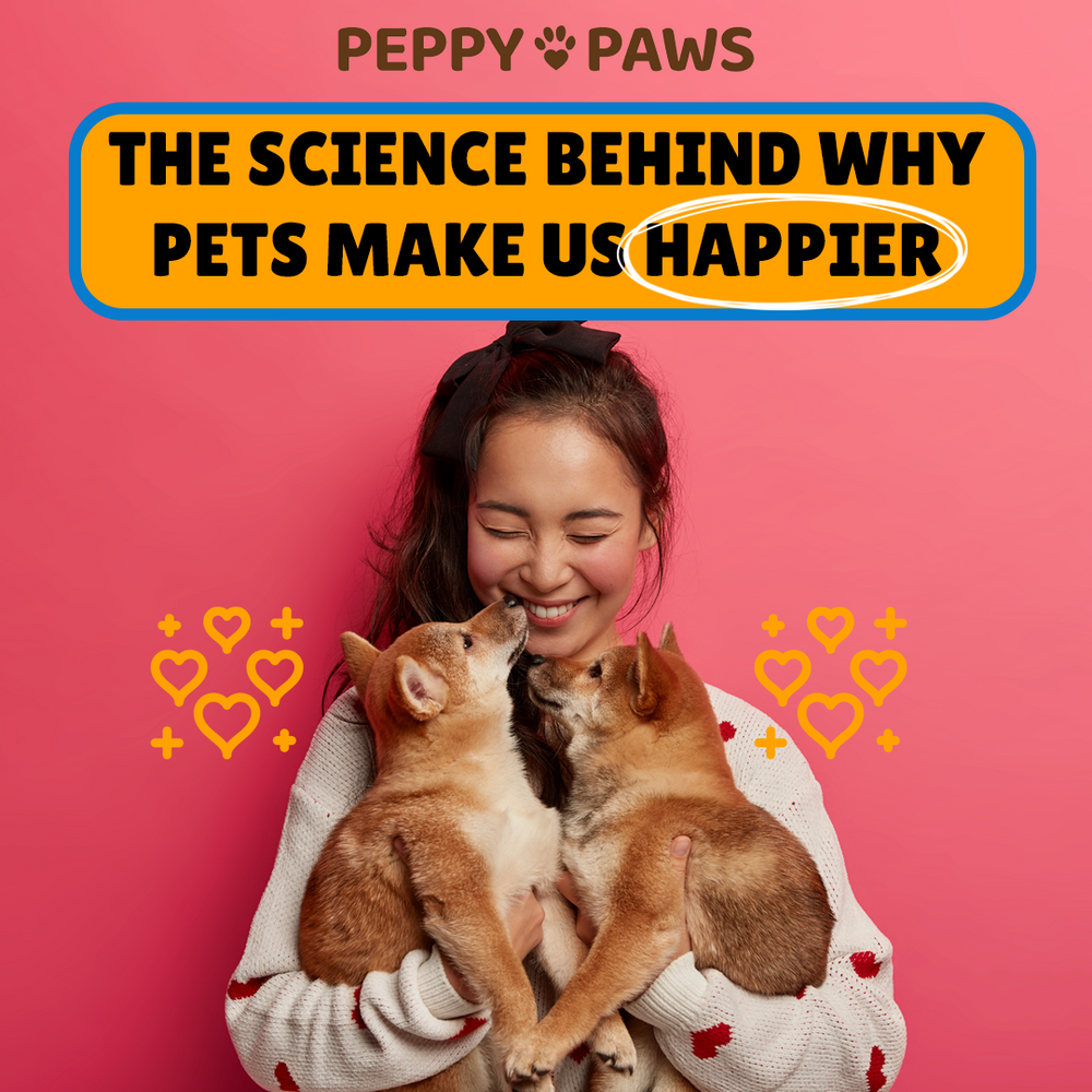 The Science Behind Why Pets Make Us Happier – PeppyPaws